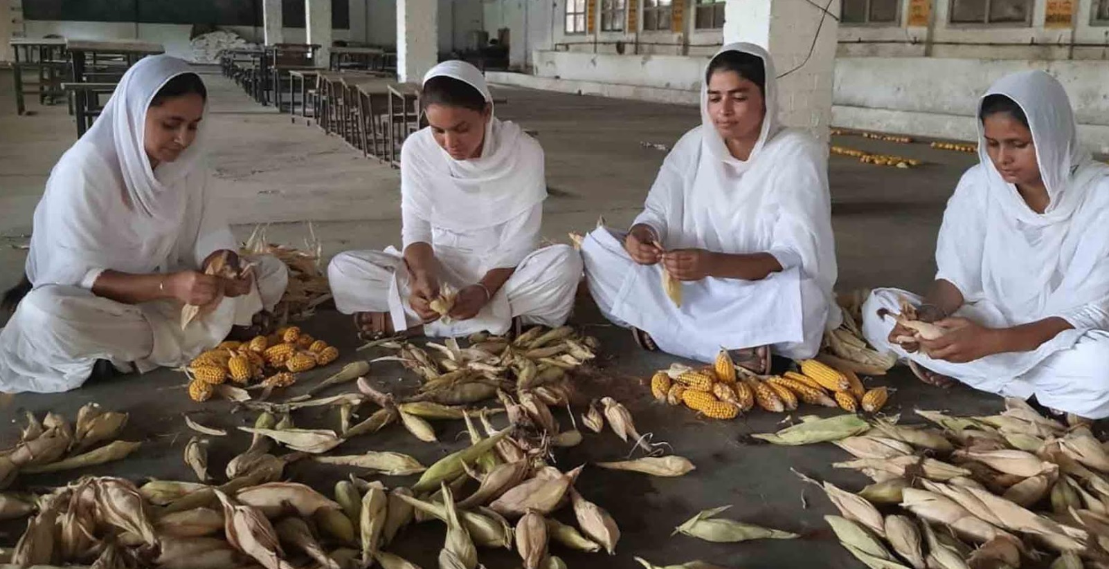 ਵਿਦਿਆ ਦੇ ਮੰਦਰ ’ਚ ਹੱਥੀਂ ਕਿਰਤ ਕਰਨ ਦੀ ਵਿਲੱਖਣ ਮਿਸਾਲ, ‘ਧੀਆਂ’ਦੇ ਜਜ਼ਬੇ ਨੂੰ ਸਲਾਮ