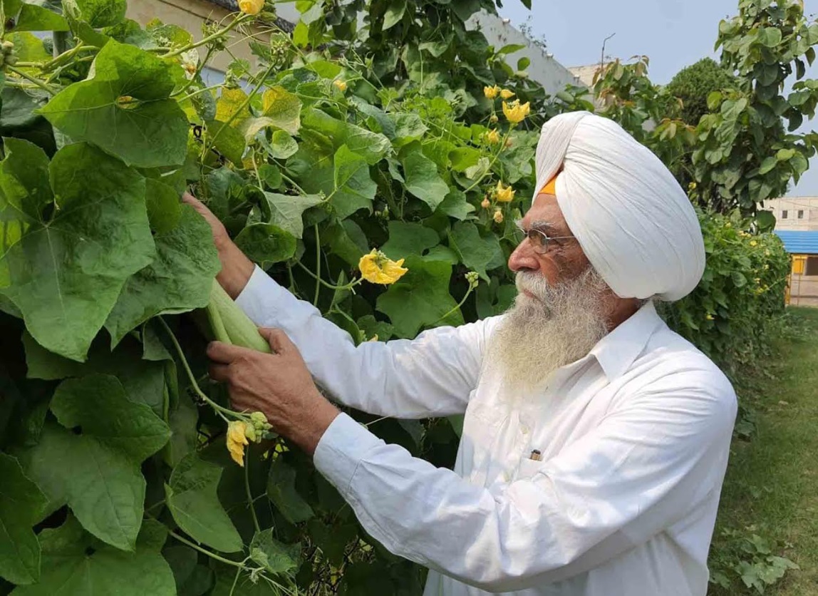 ਵਿਦਿਆ ਦੇ ਮੰਦਰ ’ਚ ਹੱਥੀਂ ਕਿਰਤ ਕਰਨ ਦੀ ਵਿਲੱਖਣ ਮਿਸਾਲ, ‘ਧੀਆਂ’ਦੇ ਜਜ਼ਬੇ ਨੂੰ ਸਲਾਮ
