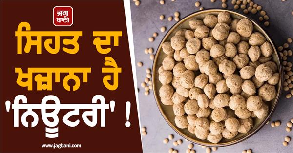 ਸਿਹਤ ਦਾ ਖਜ਼ਾਨਾ ਹੈ 'ਨਿਊਟਰੀ'! ਸੁਆਦ ਦੇ ਨਾਲ ਮਿਲੇਗਾ ਬੇਹਿਸਾਬ ਪ੍ਰੋਟੀਨ